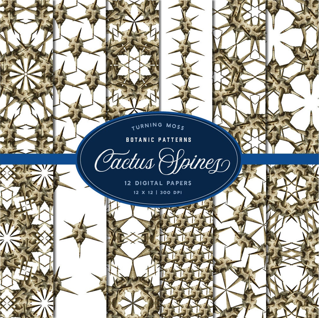 Cactus Spine Digital Paper - Spiky Geometric Patterns - 12x12 Cactus ...