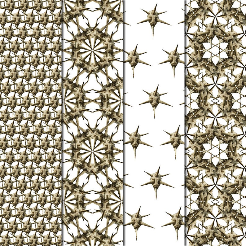 Cactus Spine Digital Paper - Spiky Geometric Patterns - 12x12 Cactus ...