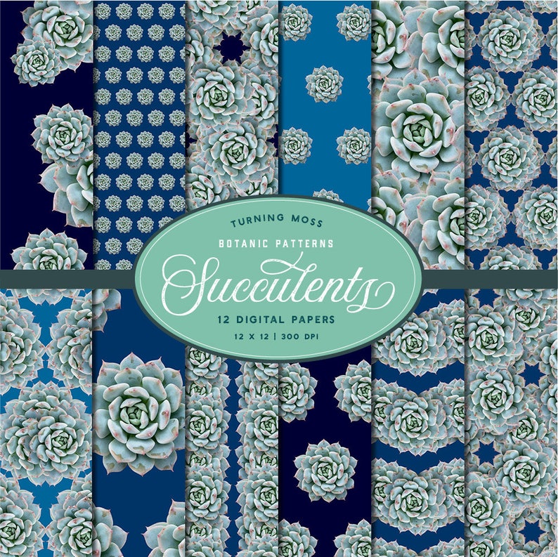 Succulent Digital Paper - Succulent Patterns - Echeveria Succulent ...