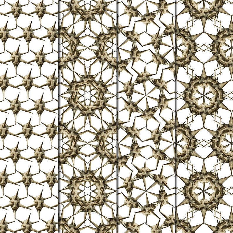 Cactus Spine Digital Paper - Spiky Geometric Patterns - 12x12 Cactus ...