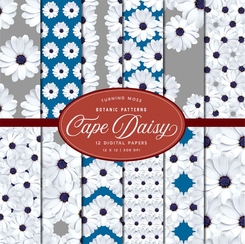 Daisy Digital Paper - White Daisy Paper - Digital Flowers -floral ...
