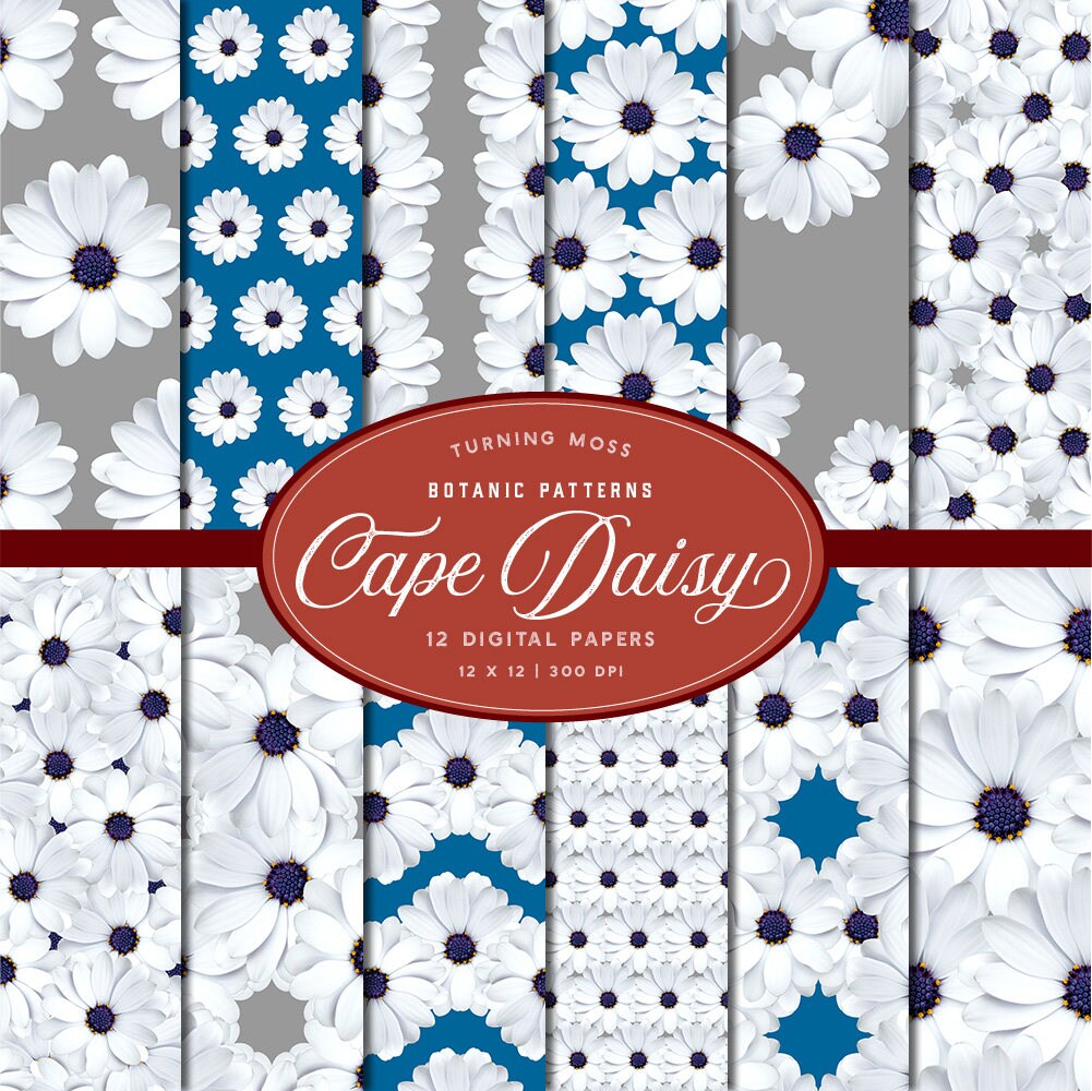 Daisy Digital Paper - White Daisy Paper - Digital Flowers -floral ...