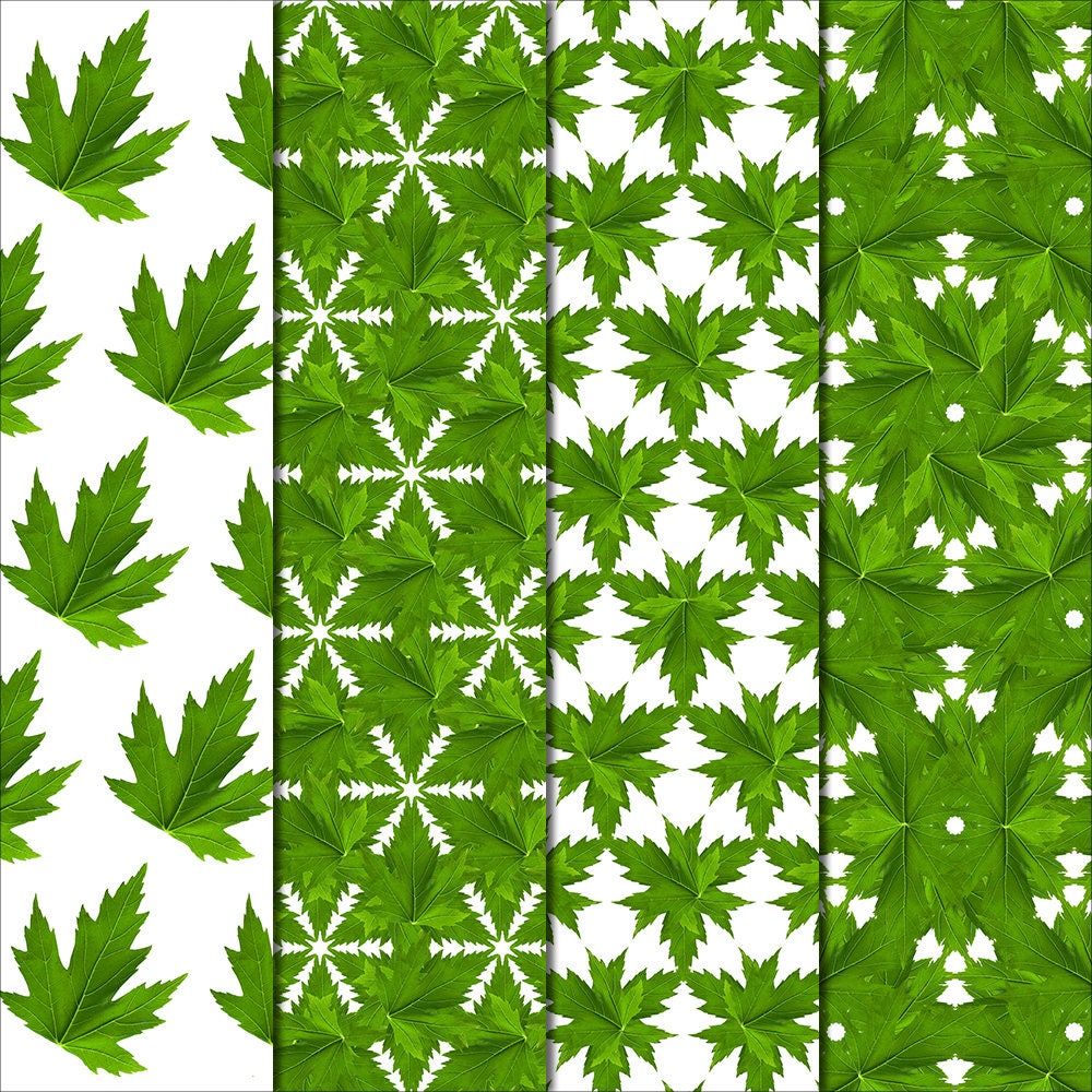 Maple Leaf Digital Paper - Maple Paper - Digital Maple Paterns - Bonsai ...