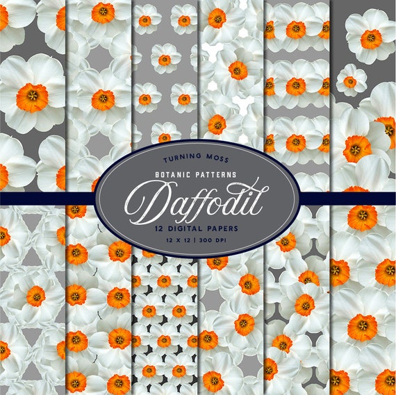 Daffodil Digital Paper digital Daffodil Flowers White | Etsy