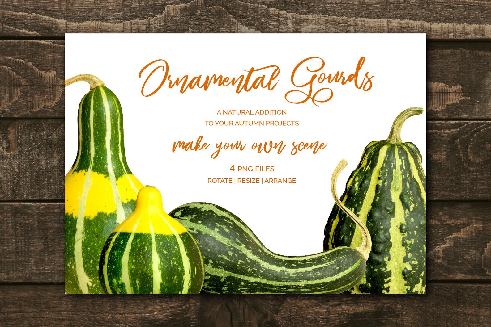 Gourd Clipart - Realistic Gourds - Ornamental Gourd Clipart - Autumn ...