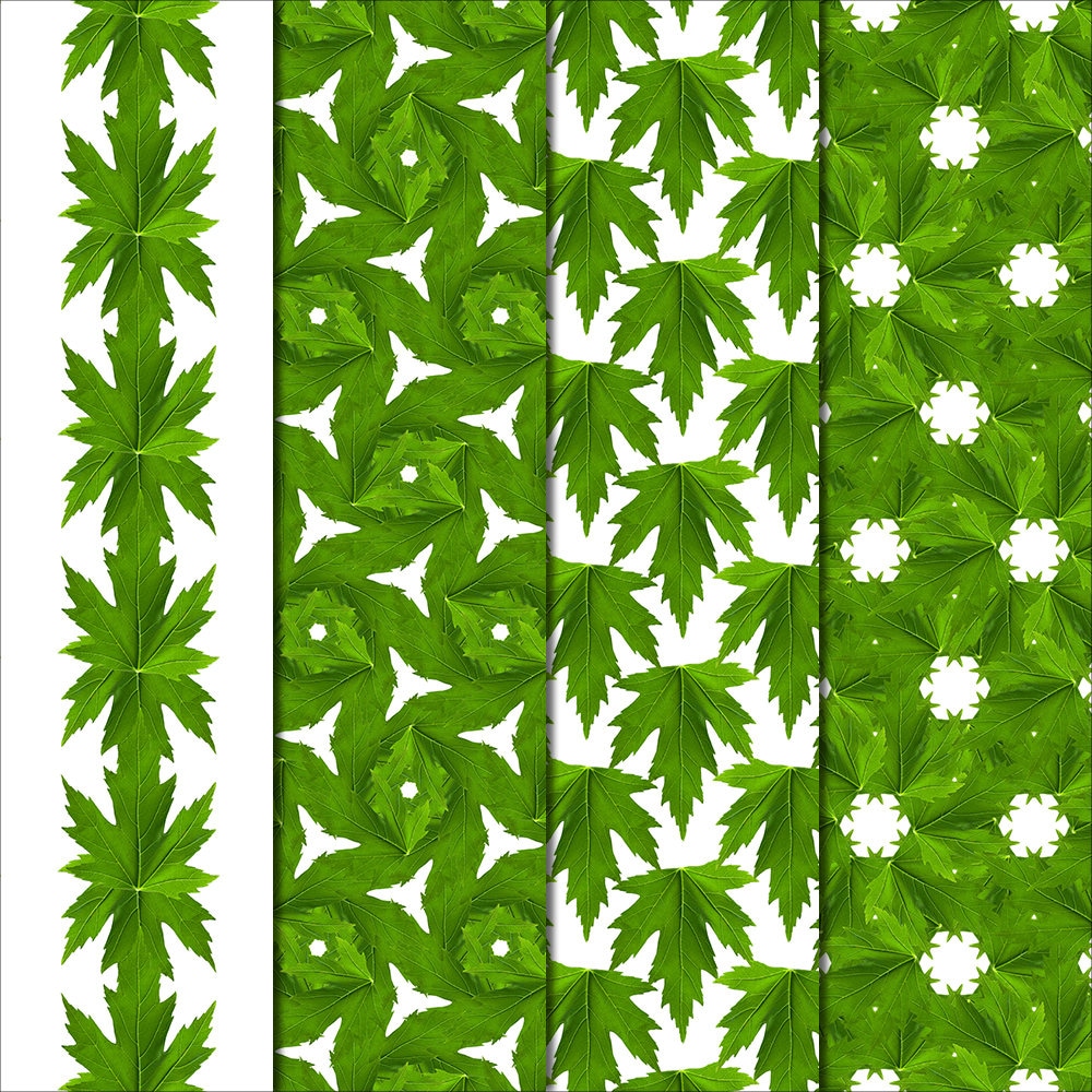 Maple Leaf Digital Paper - Maple Paper - Digital Maple Paterns - Bonsai ...