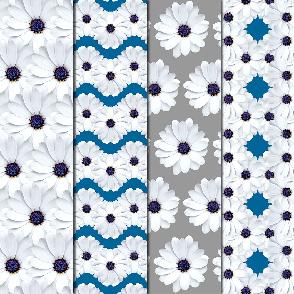 Daisy Digital Paper - White Daisy Paper - Digital Flowers -floral ...