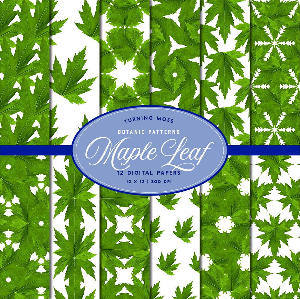 Maple Leaf Digital Paper - Maple Paper - Digital Maple Paterns - Bonsai ...