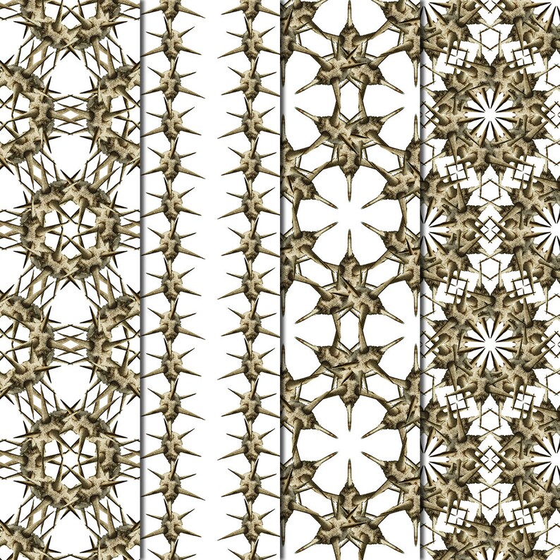 Cactus Spine Digital Paper - Spiky Geometric Patterns - 12x12 Cactus ...