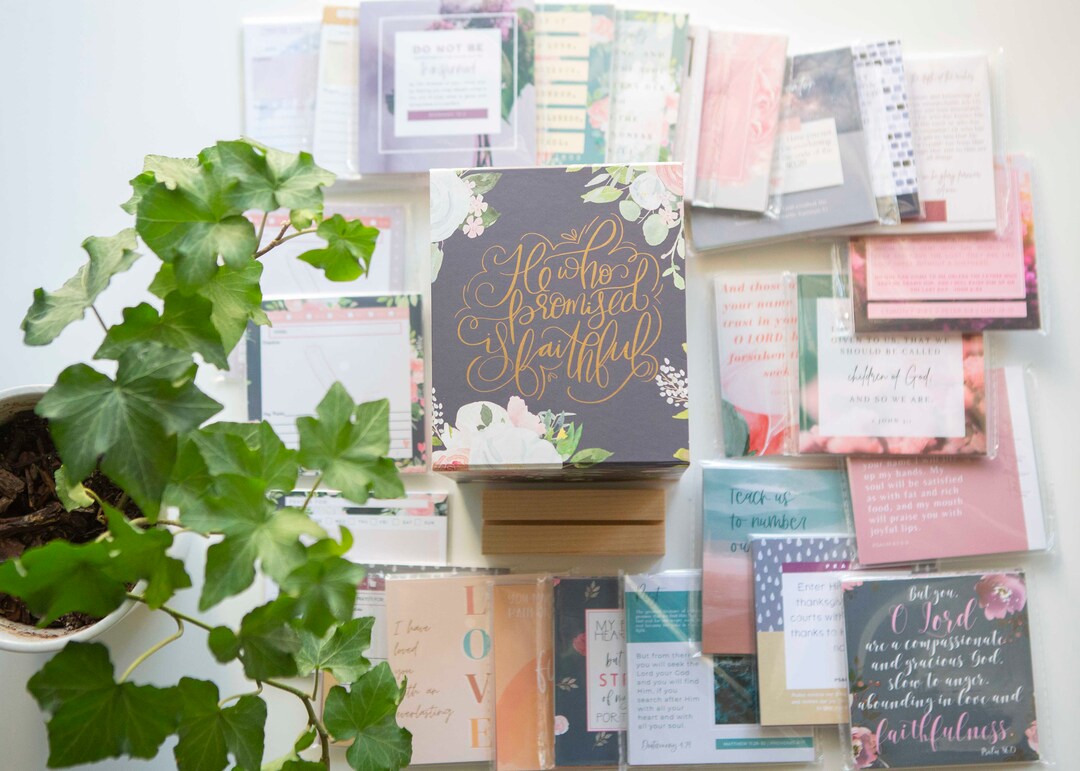 HUGE Verse Card Box BUNDLE | 250 CARDS | Scripture Memory Card Box ...