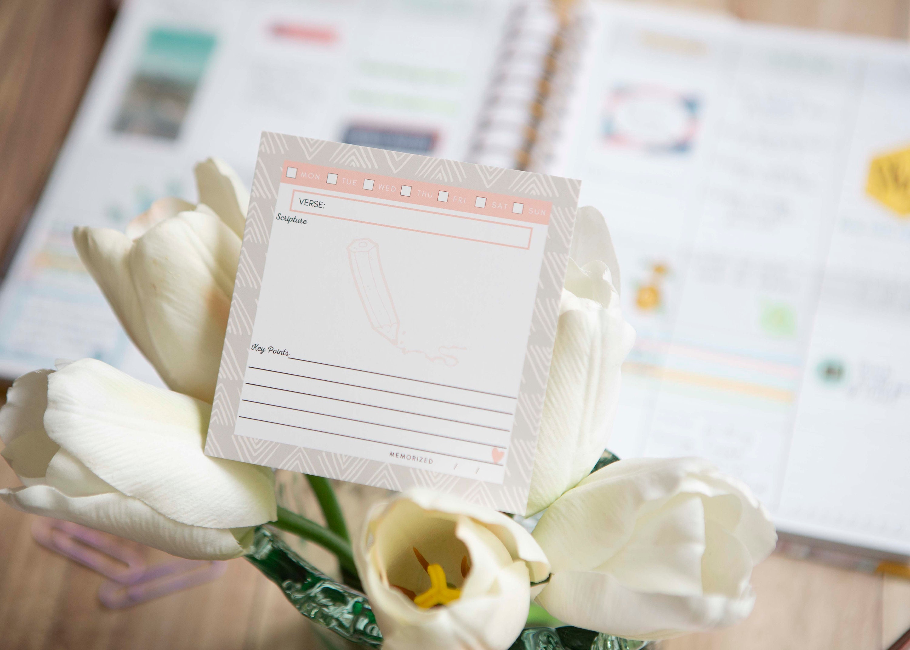 Blank Scripture Cards Memory Verse Cards Bible Verse - Etsy