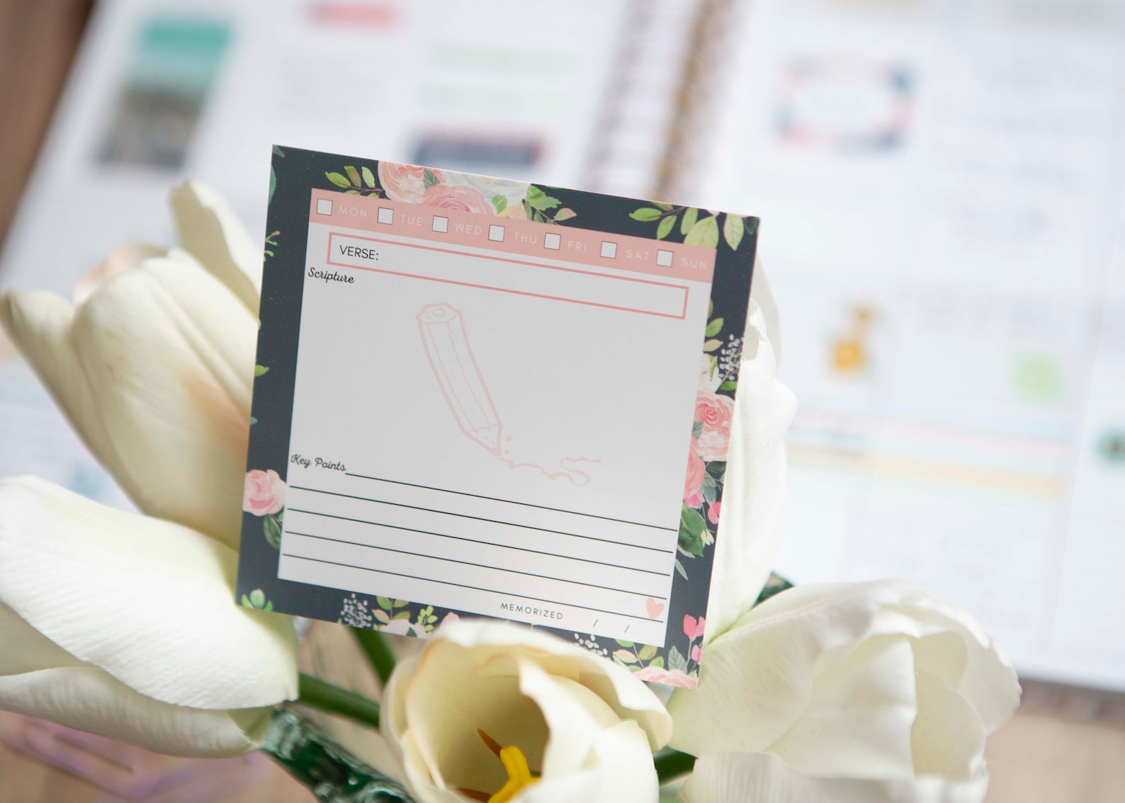 Blank Scripture Cards Memory Verse Cards Bible Verse - Etsy