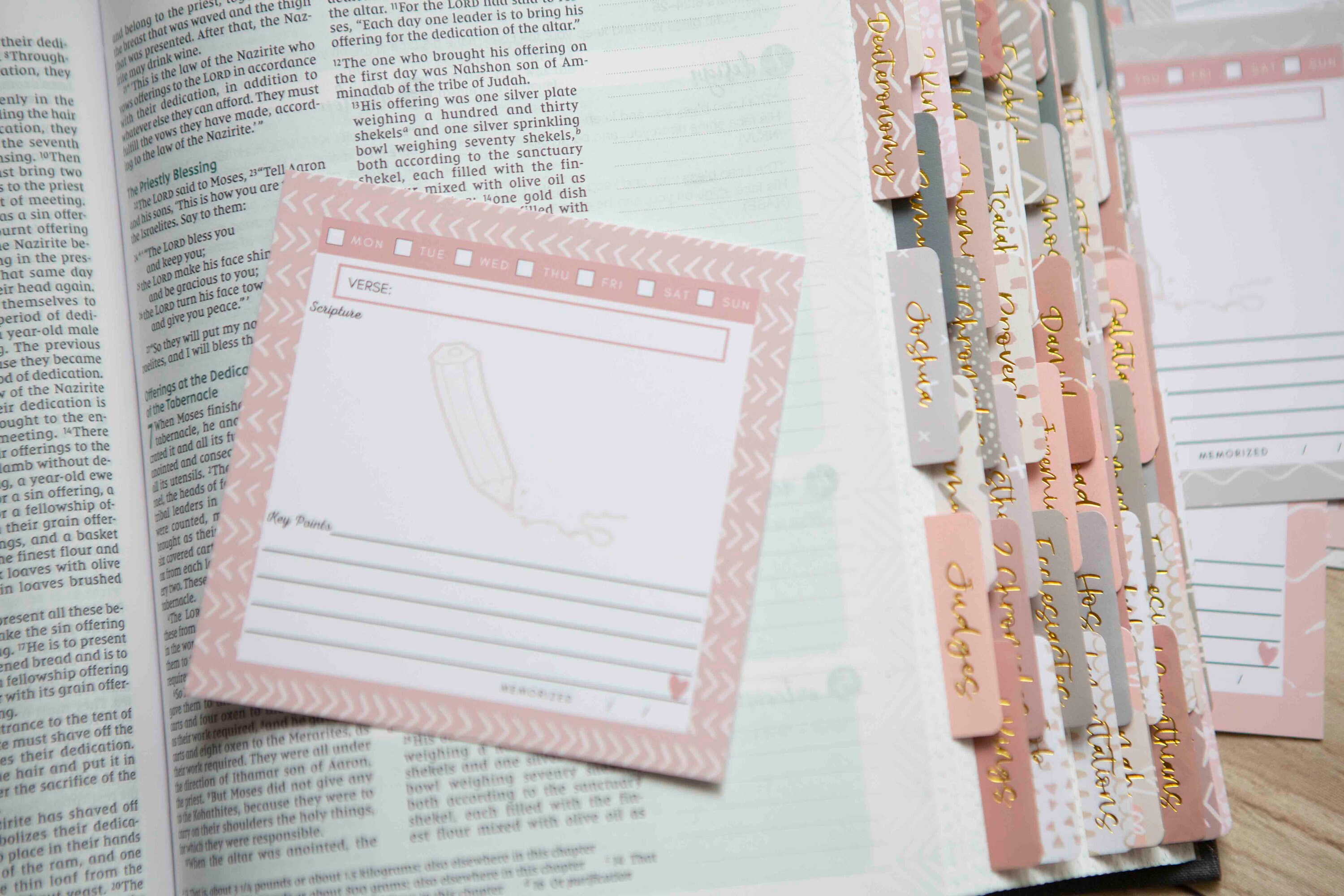 Blank Scripture Cards Memory Verse Cards Bible Verse - Etsy