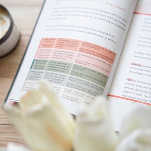 EXALTED | Colossians Bible Study | In-depth Bible Study on Colossians ...