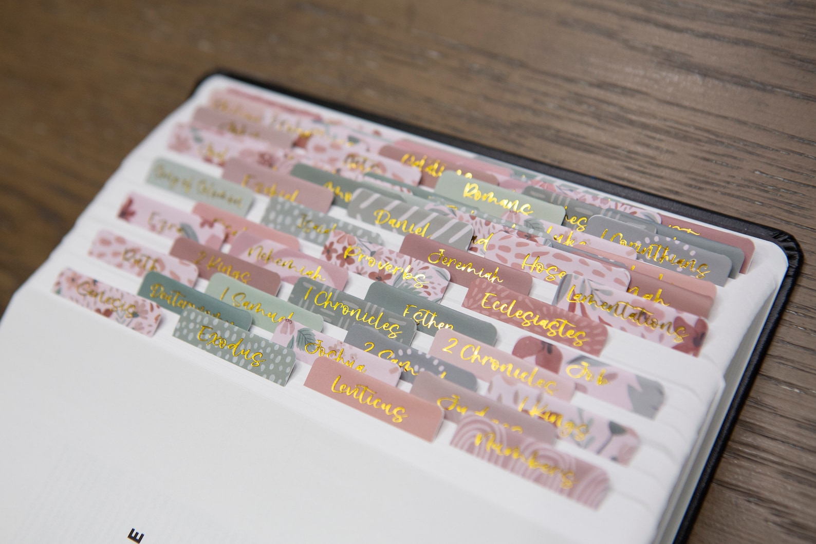 Bible Book Tabs | Pretty Bible Tabs | Bible Index Tabs | Tabs for Your ...