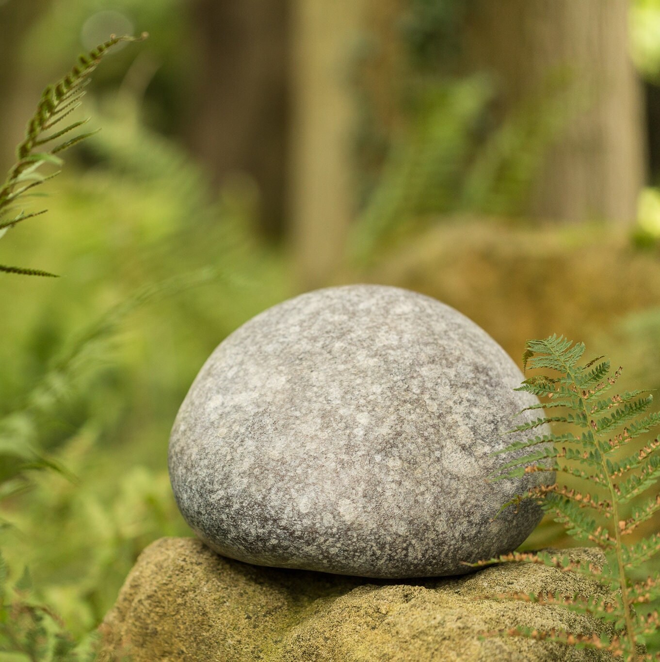 Outdoor Full Sized Bronze Pebble Urn - Beautiful and Robust Enough to ...