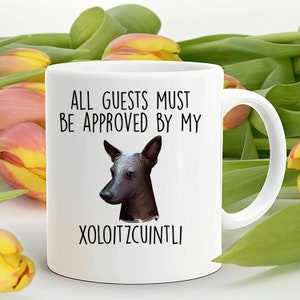 Xoloitzcuintli - Mexican Hairless Dog Funny Coffee Mug - All Guests ...