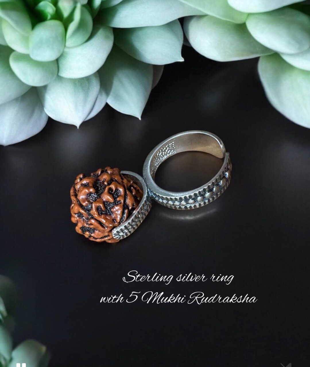 Rudraksha Ring Large, Shiva Sterling Silver Jewelry, 5 Mukhi Rudraksha ...
