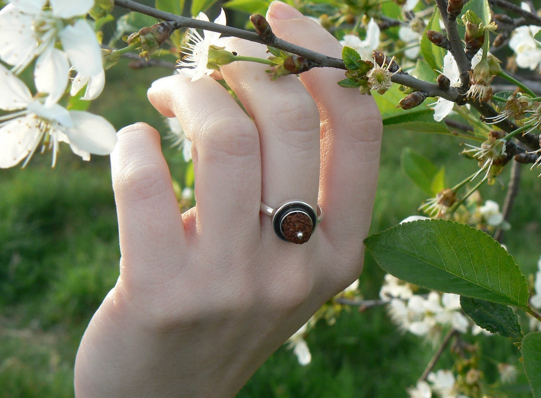 Rudraksha Silver Ring, Real 5 Mukhi Rudraksh Beads, Spiritual Wealth ...