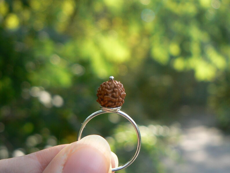 Rudraksha Bead Sterling Silver Ring, Shiva Protection Jewelry - Etsy