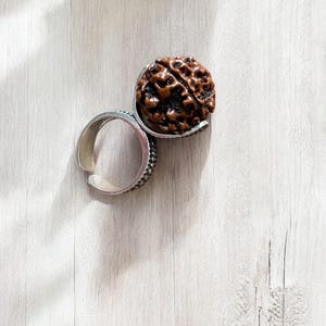 Rudraksha Ring Large, Shiva Sterling Silver Jewelry, 5 Mukhi Rudraksha ...