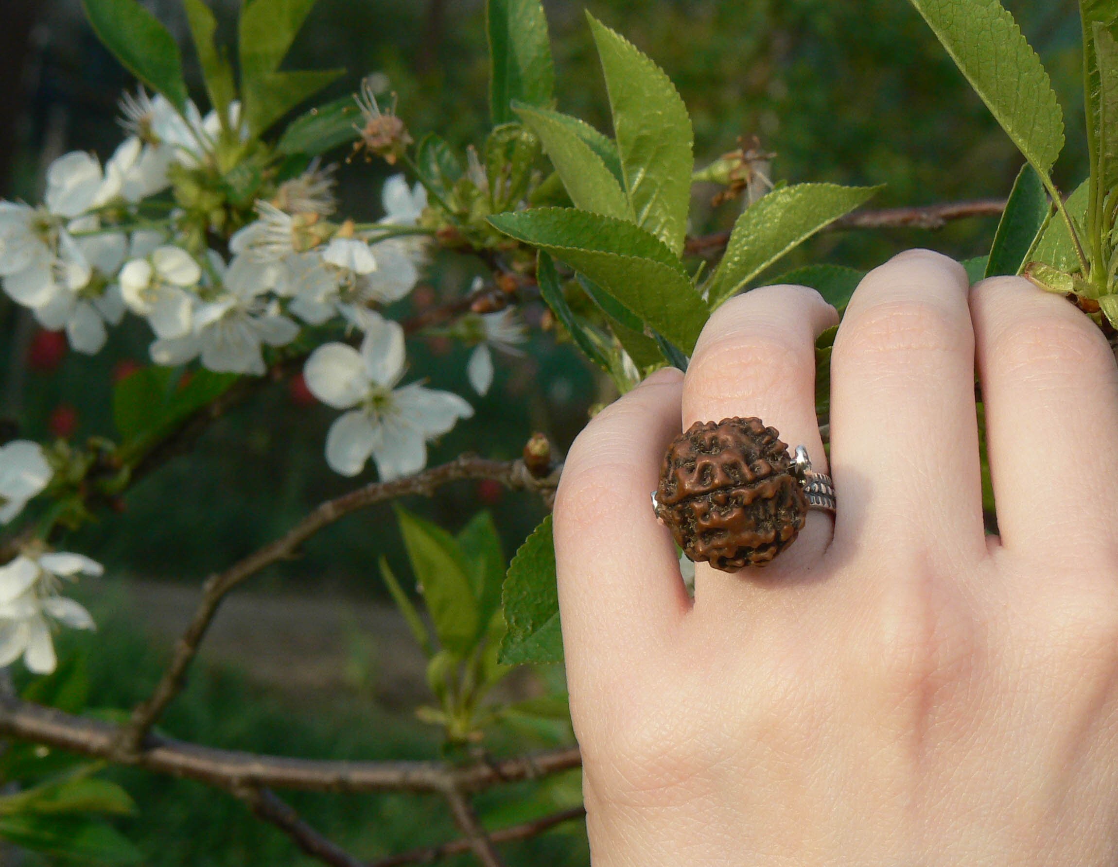 Rudraksha Ring Large Shiva Sterling Silver Jewelry 5 Mukhi - Etsy