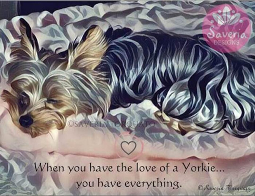 Sleeping Yorkie Art Print Magnet for Office or Kitchen, Yorkshire ...