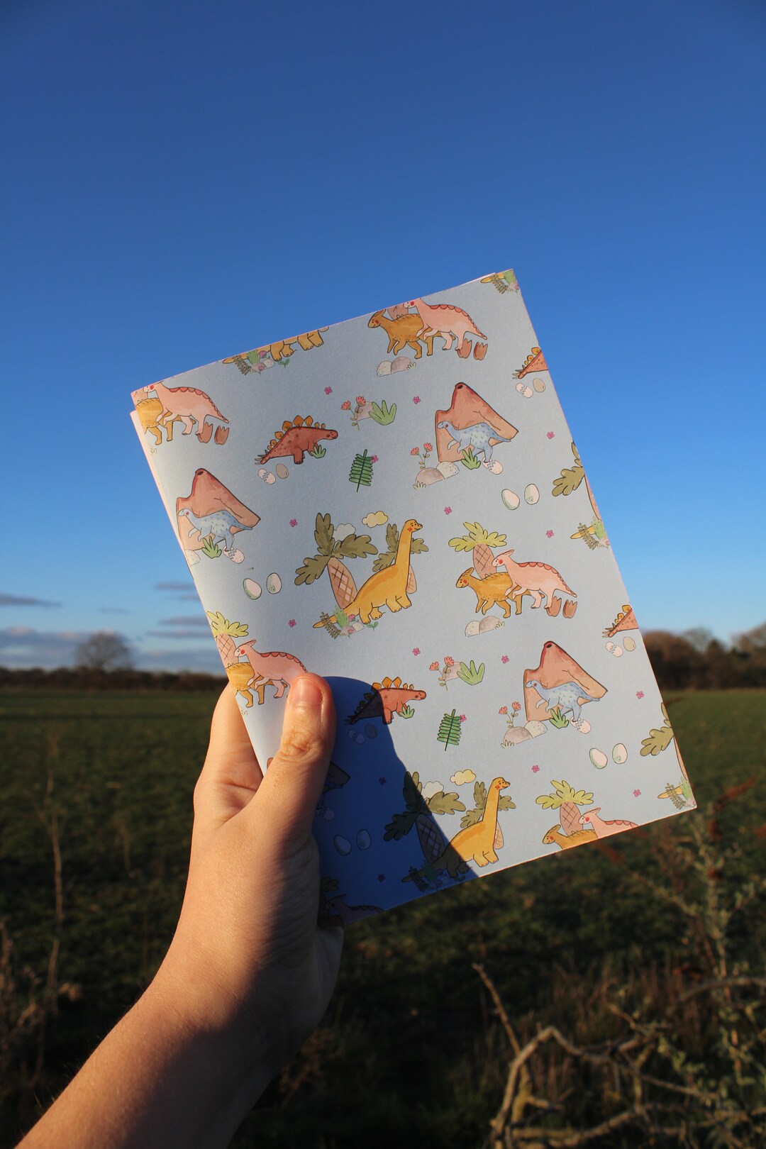 Dinosaur Blank Notebook/ Jurassic Period, Unisex Drawing Book, Art Gift ...