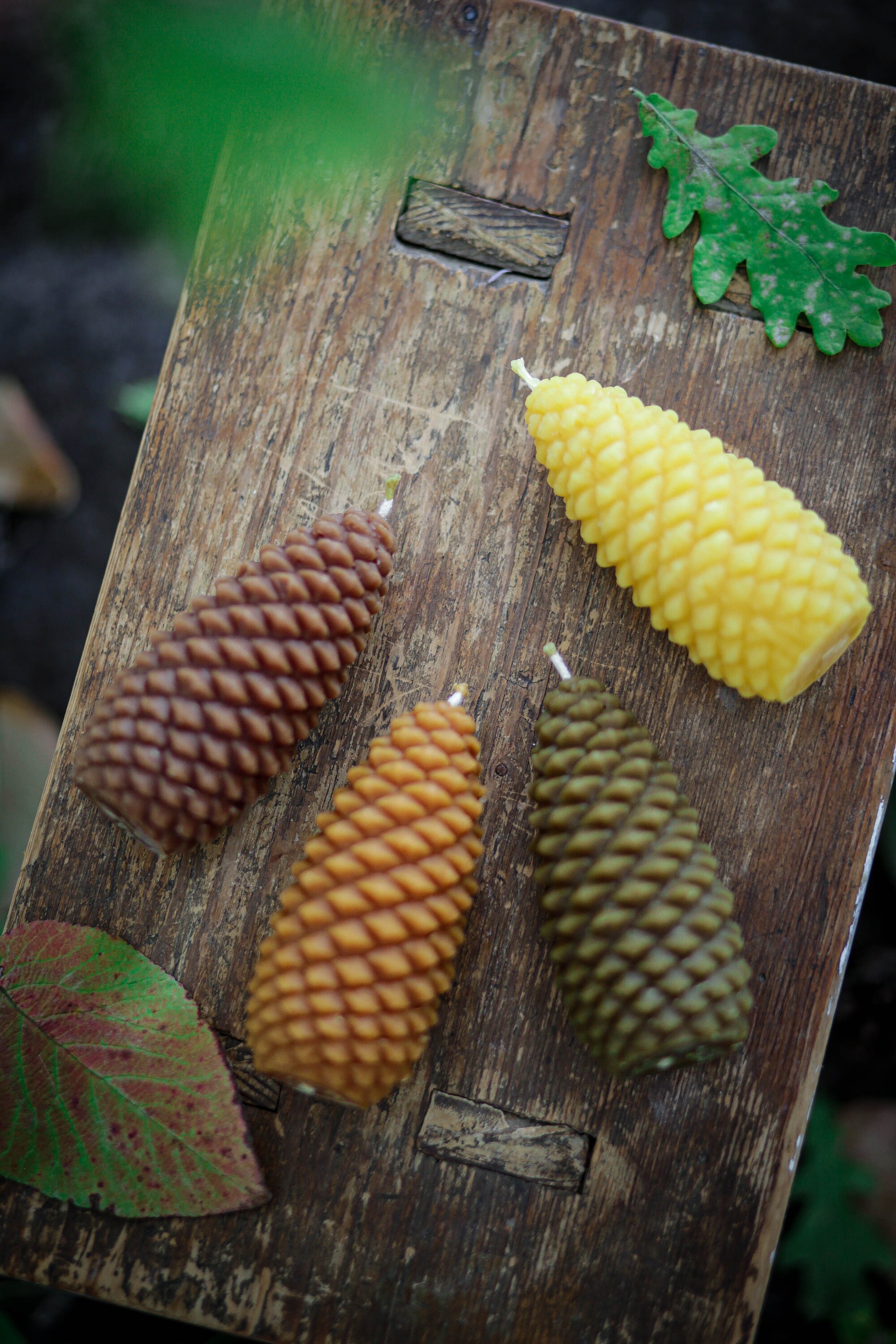 Pine Cone Candles Handmade From 100% Beeswax in Various Colors - Etsy