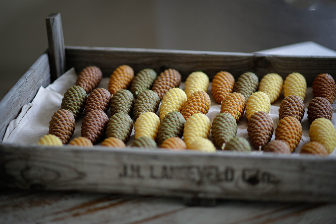 Pine Cone Candles Handmade From 100% Beeswax in Various Colors - Etsy