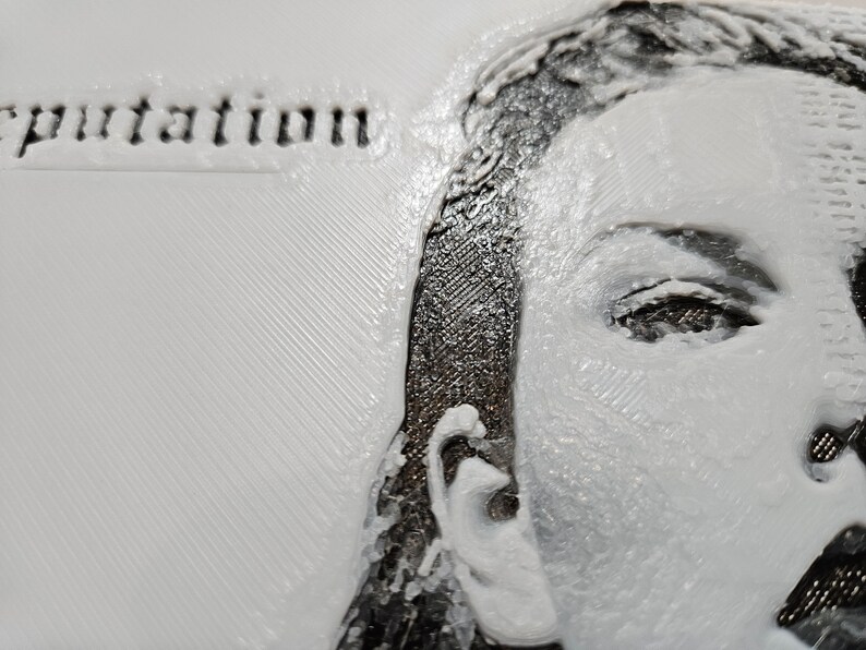 Taylor Swift Reputation Album Art 3D Printed - Etsy