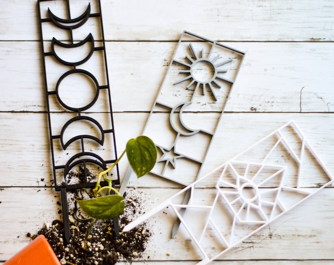 Houseplant Trellis Bestseller Bundle Moon Phase Evil Eye Sun Indoor ...