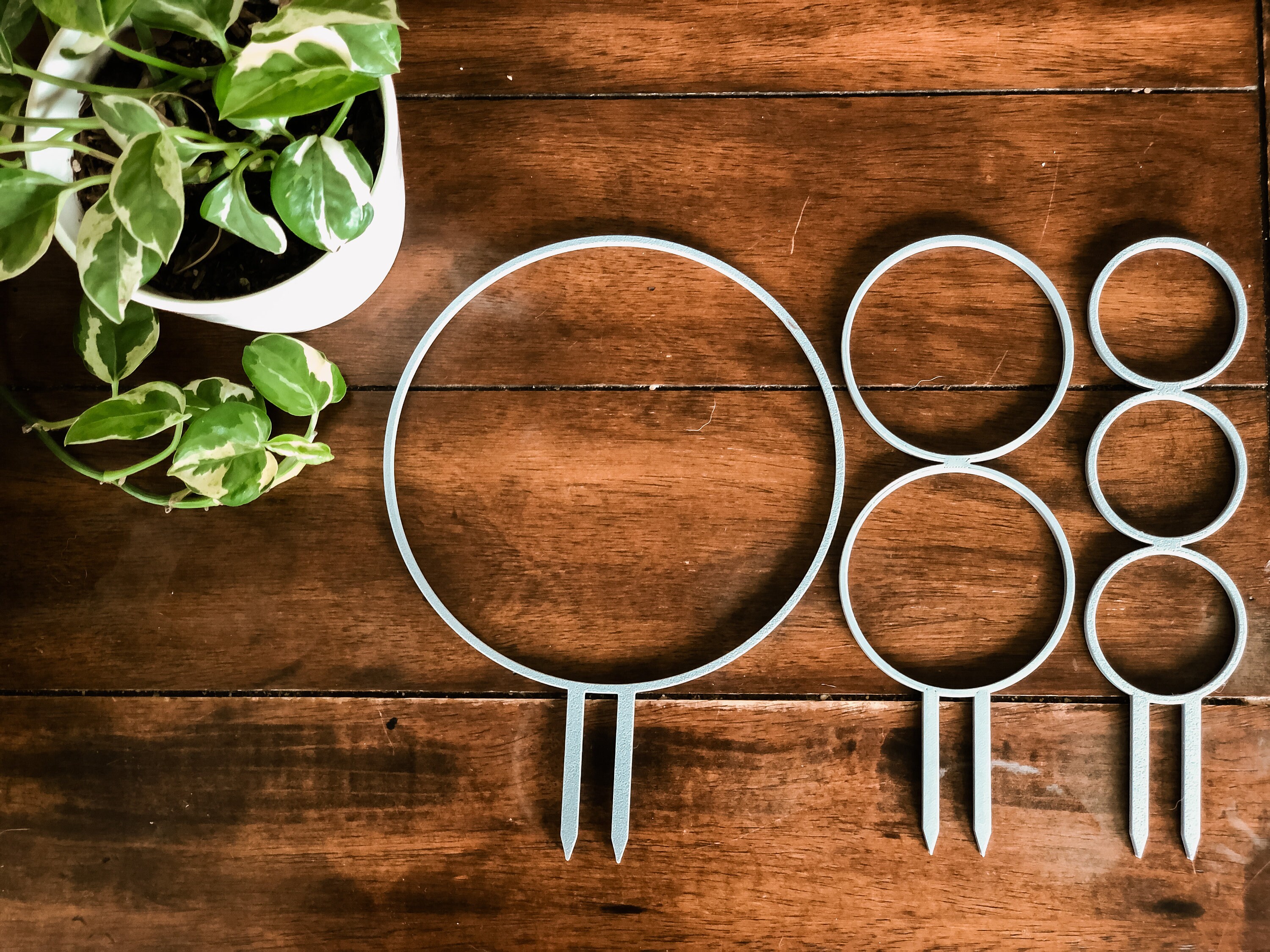 Circle Indoor Houseplant Trellis 3D Printed Multiple Colors - Etsy