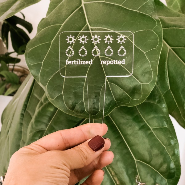 Water Plant Reminder - Etsy Australia