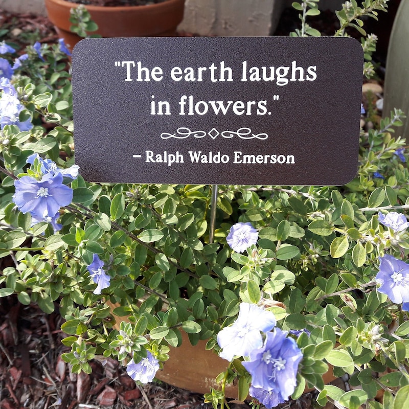Garden Quote - Etsy