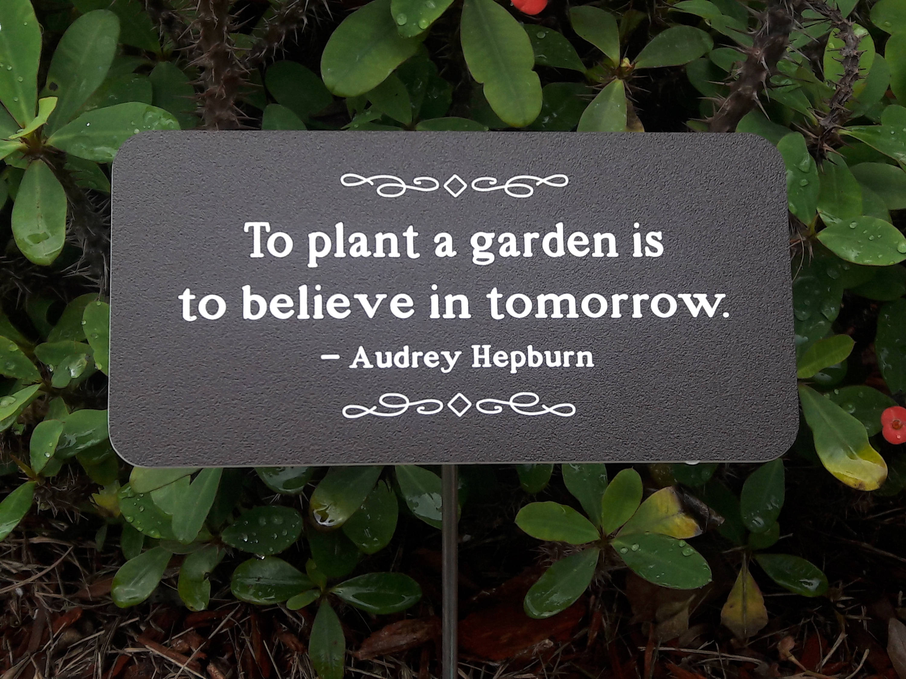 Custom Engraved Garden Sign 3 X 6 W/stake Outdoor - Etsy