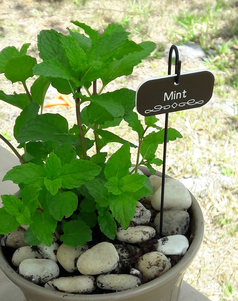 Custom Engraved Herb Labels Garden Markers UV-resistant Herb | Etsy
