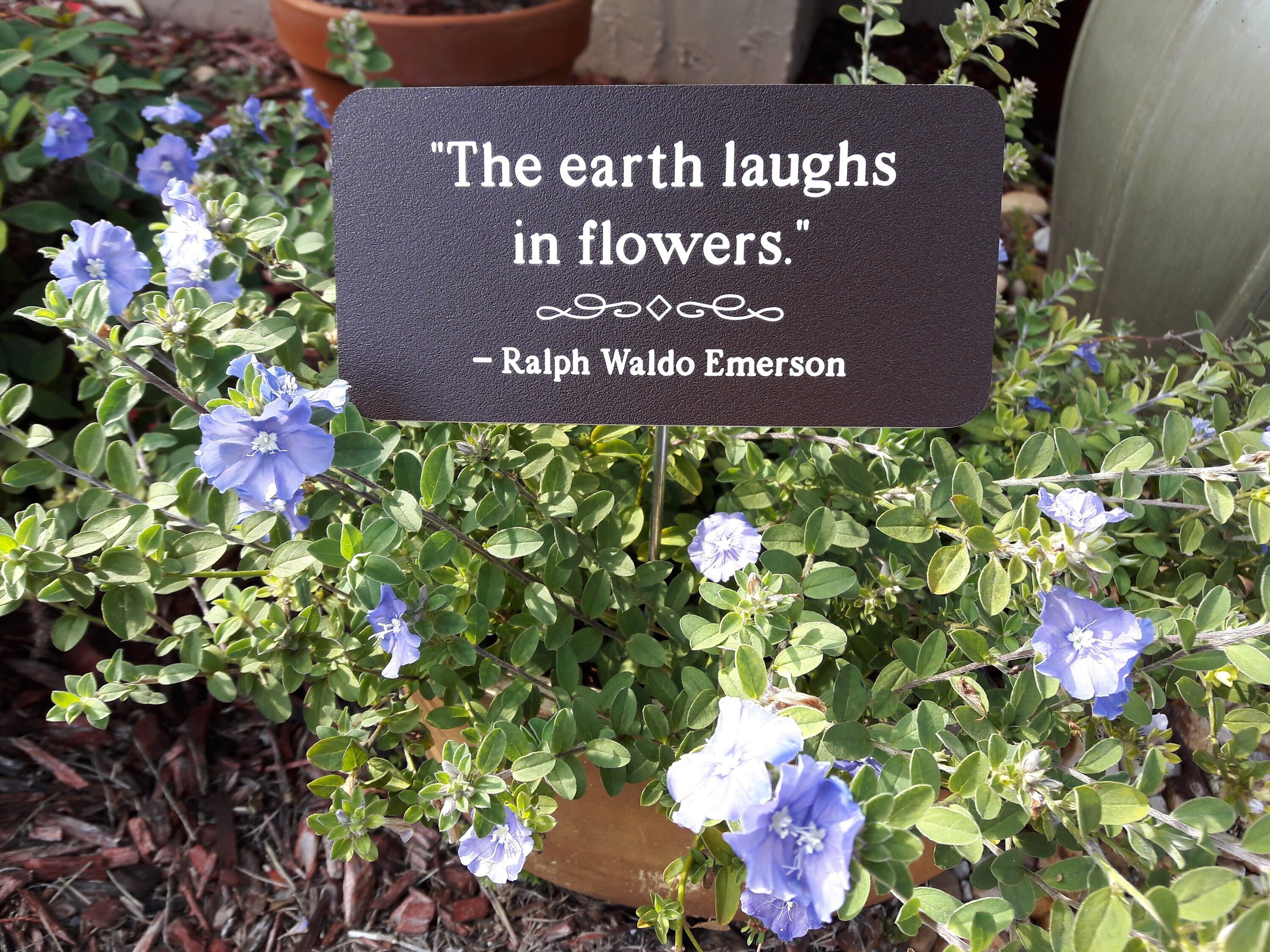 Custom Engraved Garden Sign 3x 6 With Stake - Etsy