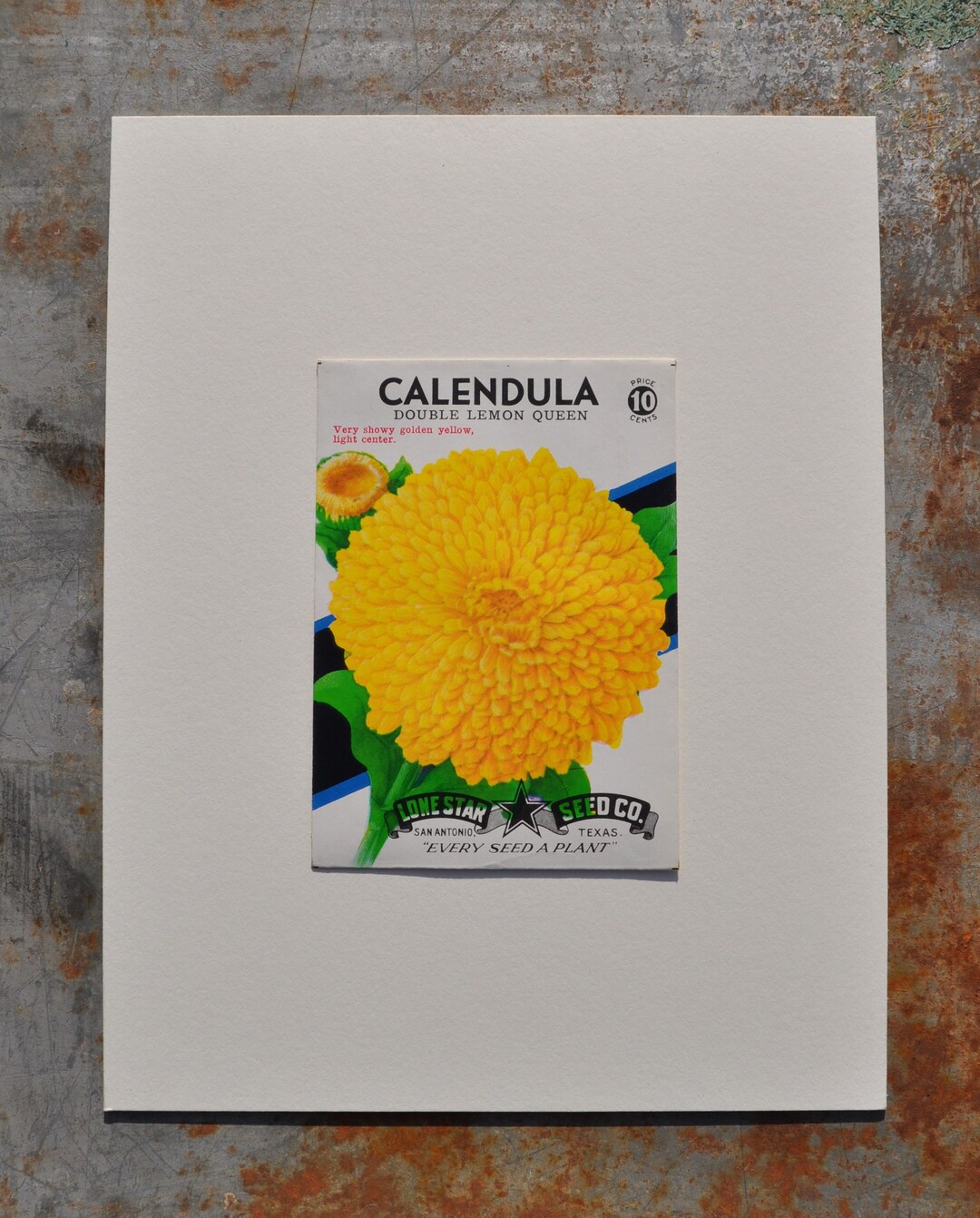 1940s ORIGINAL Calendula SEED PACKET - Etsy