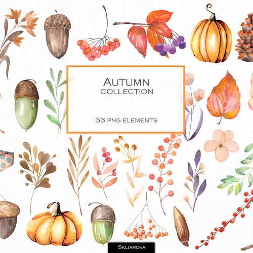 Watercolor Autumn Clipart Fall Clipart Pumpkin Fall Leaves PNG | Etsy