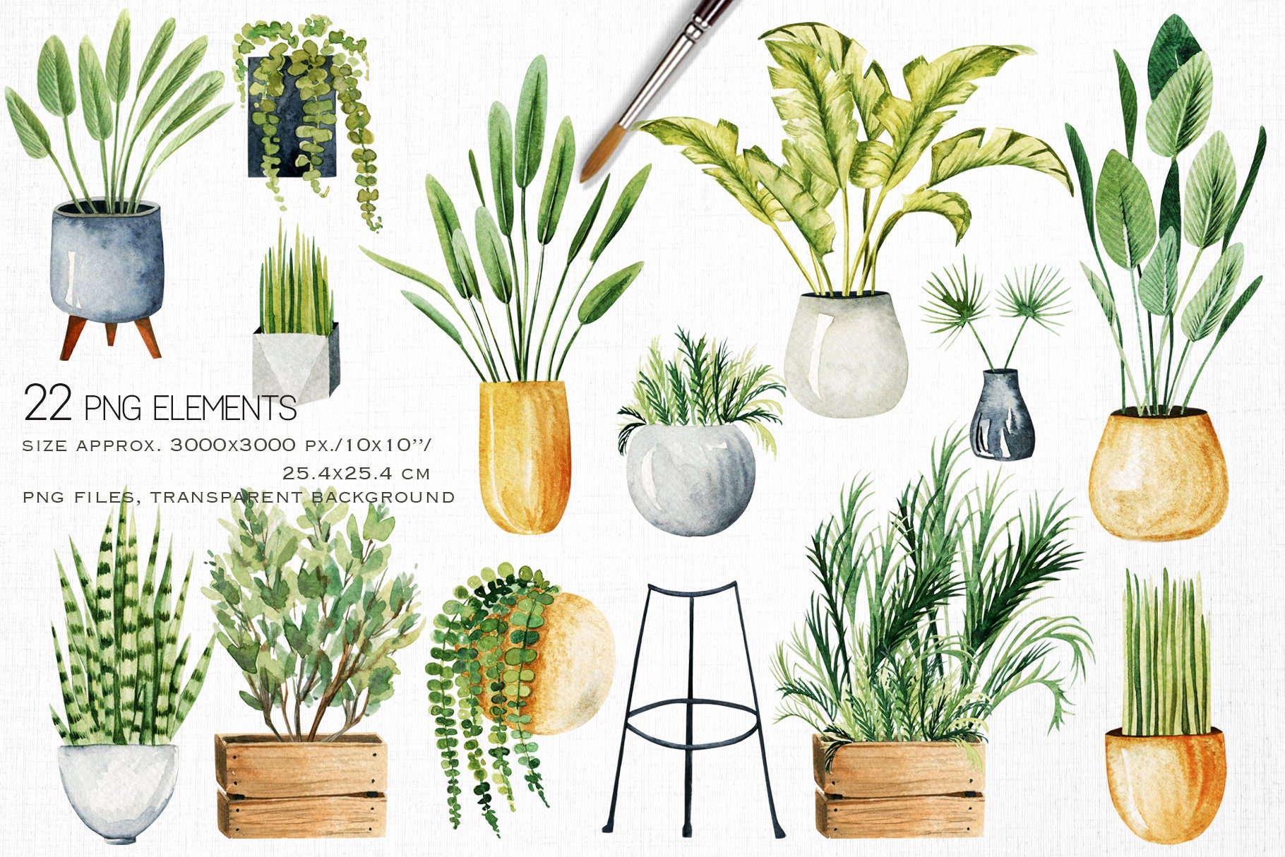 Watercolor Potted Plants Clipart House Plants Clipart Boho | Etsy