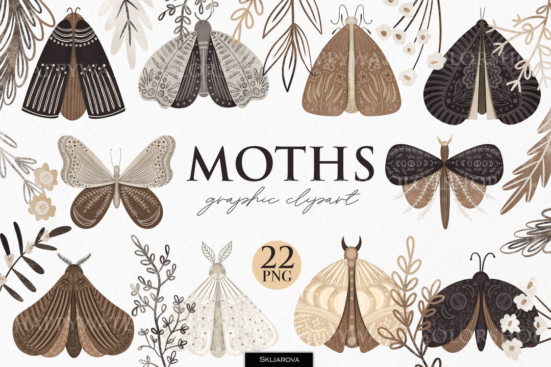 Moth Clipart Butterfly Clipart Boho Clipart Moth Png Butterfly Png ...