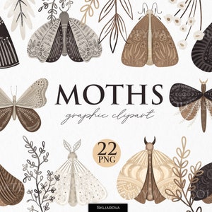 Moth Clipart Butterfly Clipart Boho Clipart Moth Png Butterfly Png ...