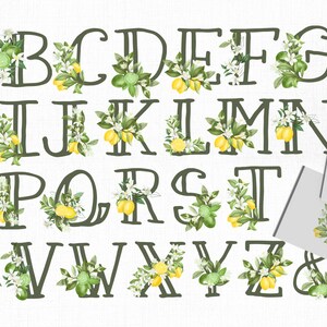Lemon Alphabet Clipart ABC Clip Art Floral Letters and Numbers Lime ...