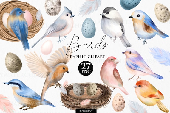 Forest Birds Clipart