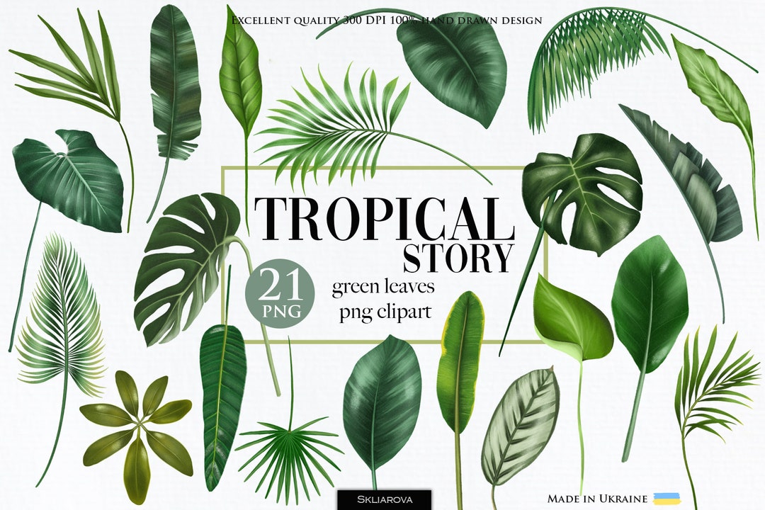 Tropical Leaves Clipart Greenery Clipart Summer Clipart Green Leaves ...