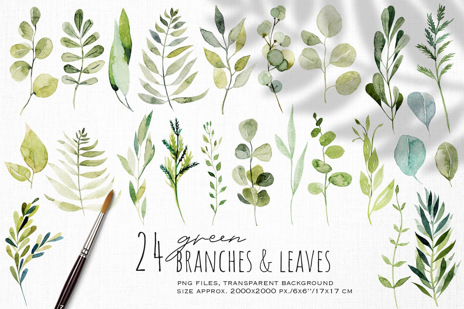Watercolor Greenery Clipart Eucalyptus Branch Green Leaves Branches Png ...