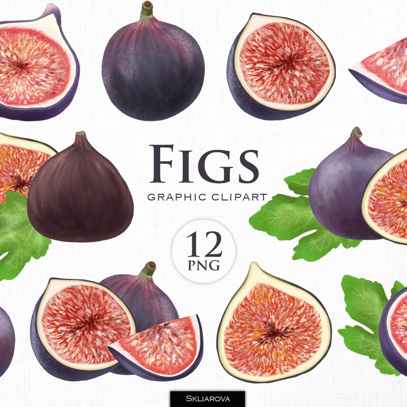 Fig Logo - Etsy