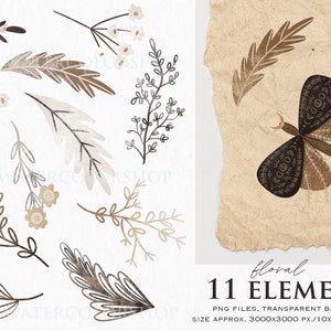 Moth Clipart Butterfly Clipart Boho Clipart Moth Png Butterfly Png ...