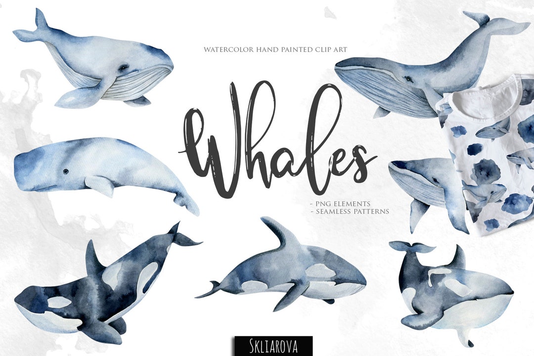 Watercolor Whale Clipart Blue Whales Illustration Ocean Animal Png Sea ...